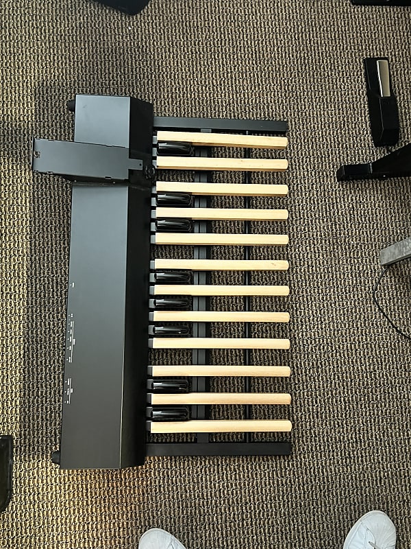 Hammond XPK-200GL 20-Note Pedal MIDI Controller | Reverb