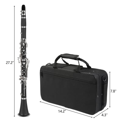 Glarry 17 Keys Flat B Black Clarinet with Two Mouthpieces | Reverb