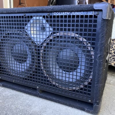 SWR Goliath Junior III 2x10 Bass Cabinet | Reverb