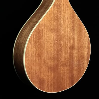 Gold Tone OM-800+ Octave Mandolin - New | Reverb