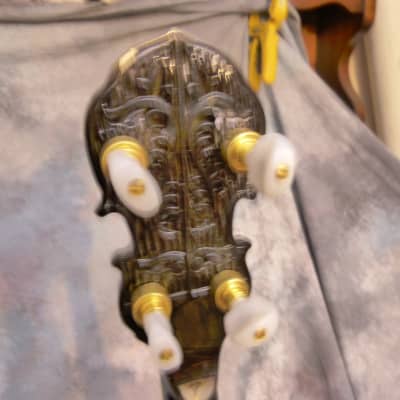 Samick Masterpiece 5 String Resonator Banjo with Gold | Reverb