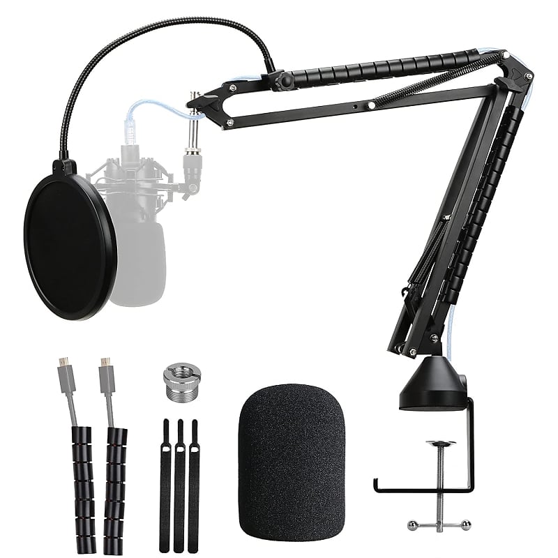 At2020 Mic Stand With Pop Filter - Professional Microphone | Reverb