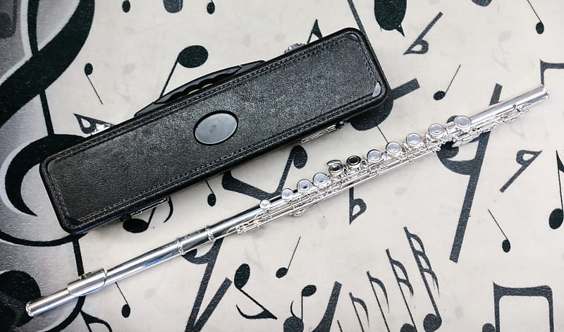 Castle Silver Plated Flute CFL-LAIL-MS 2022 - Silver | Reverb