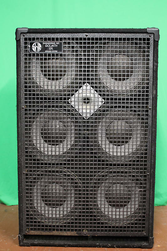SWR Goliath SR. Senior 6x10 Cab 2000's Black | Reverb