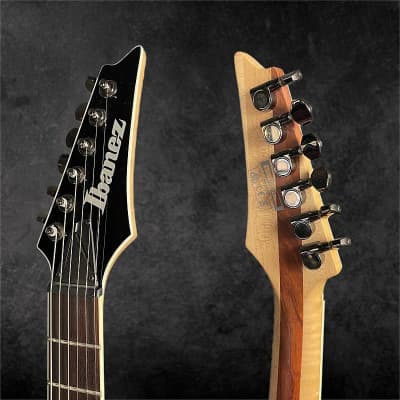 Ibanez RGIR20FE Iron Label Electric Guitar in Black w/EMG | Reverb UK