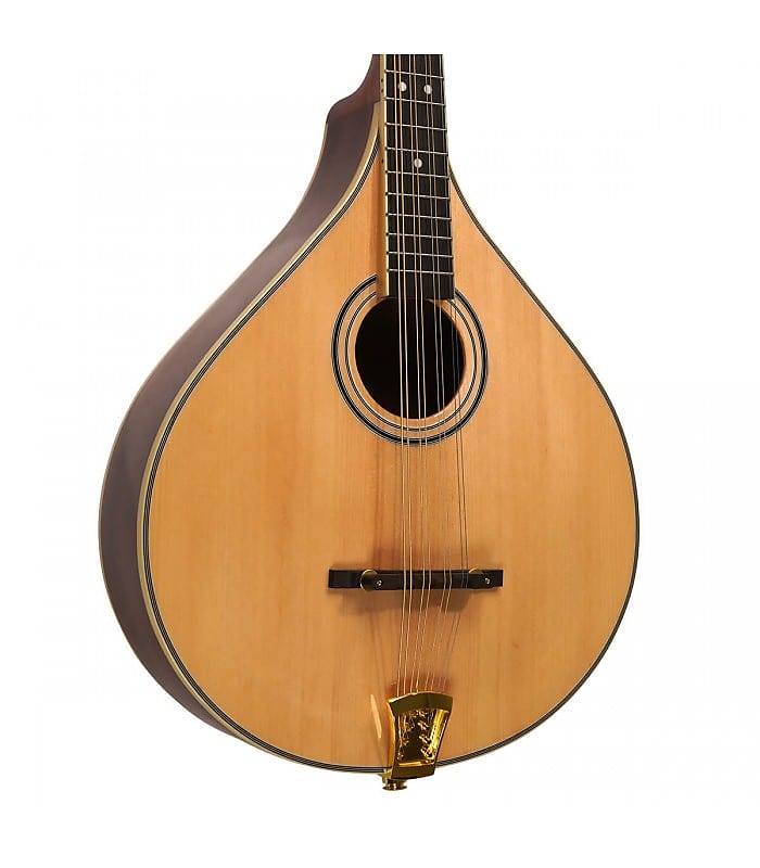 Gold Tone OM-800+ Octave Mandolin Natural with Pickup & | Reverb