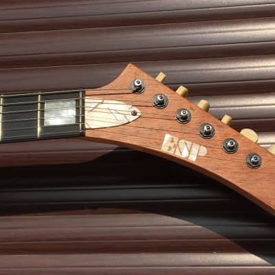 ESP Mx-250 Custom Order Block Inlays Explorer with EMG HET | Reverb