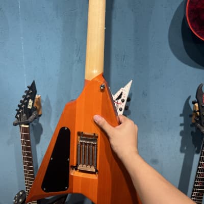 ESP Custom Order Akira Randy Rhoads | Reverb