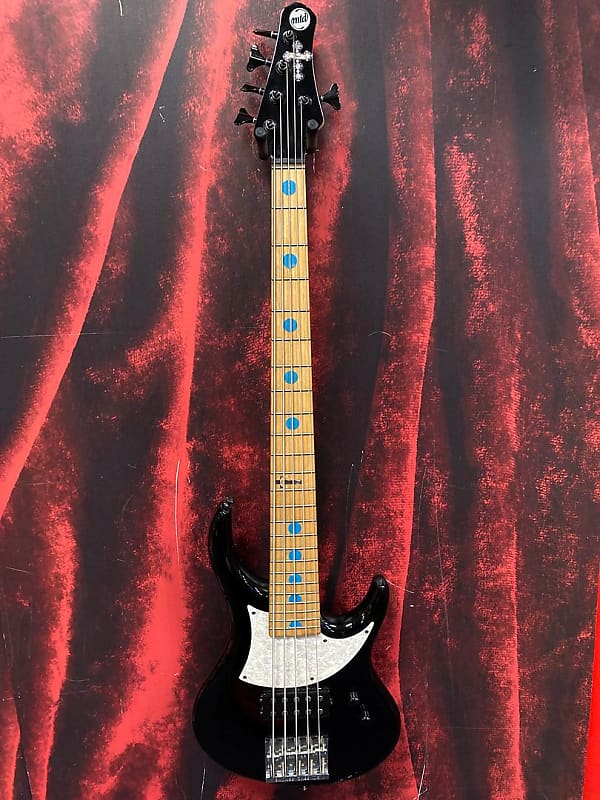 MTD MTD 5 5 String Bass Guitar (Houston, TX) | Reverb