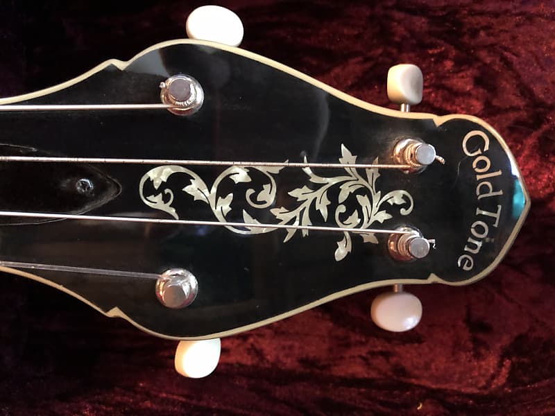 Gold Tone CB-4 cello banjo 2023 - Gloss | Reverb