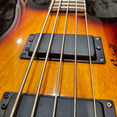 Steinberger XZ-25 - Tobacco Sunburst Bass Guitar Collector's | Reverb