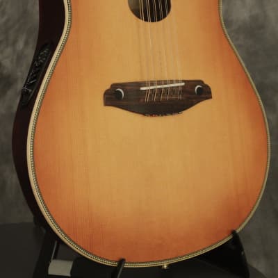 Hohner Eclipse ECA612 12-string acoustic electric guitar | Reverb