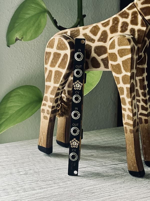 Meng Qi DPLPG (Black) | Reverb