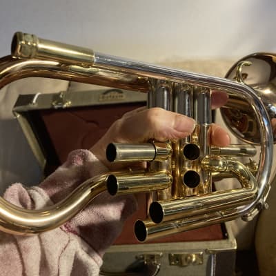 Getzen 800DLX Eterna “Deluxe” Bb Cornet | Reverb