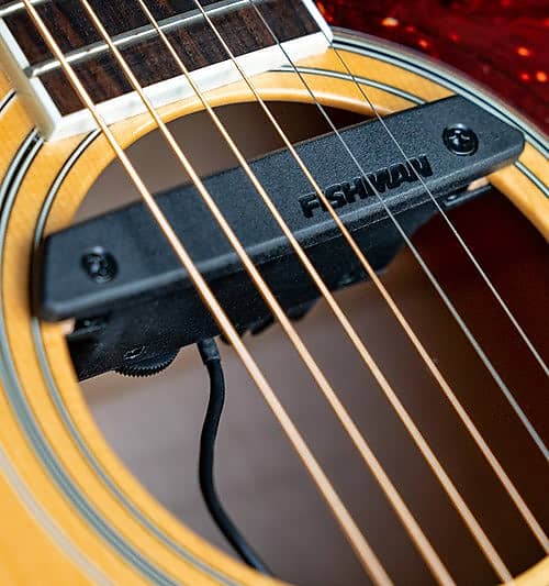 Fishman Rare Earth Acoustic Guitar Pickup | Reverb