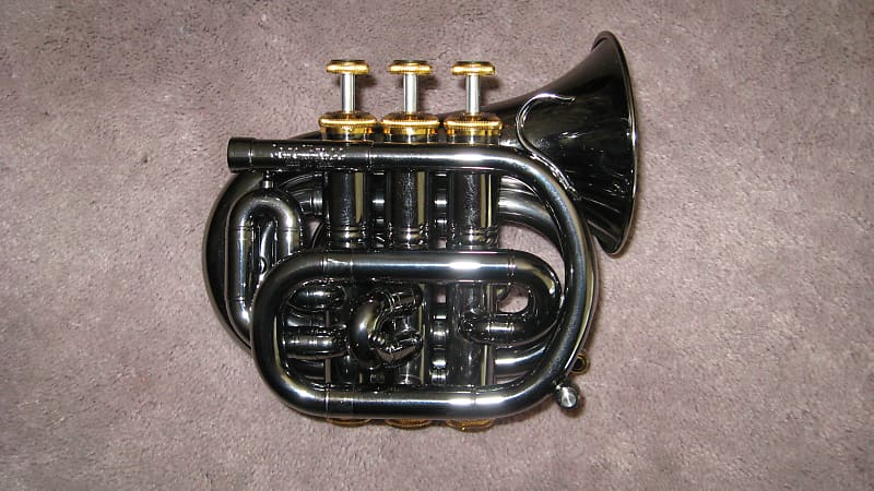 Carol Brass MINI TRUMPET 2023 - BLACK / GOLD | Reverb