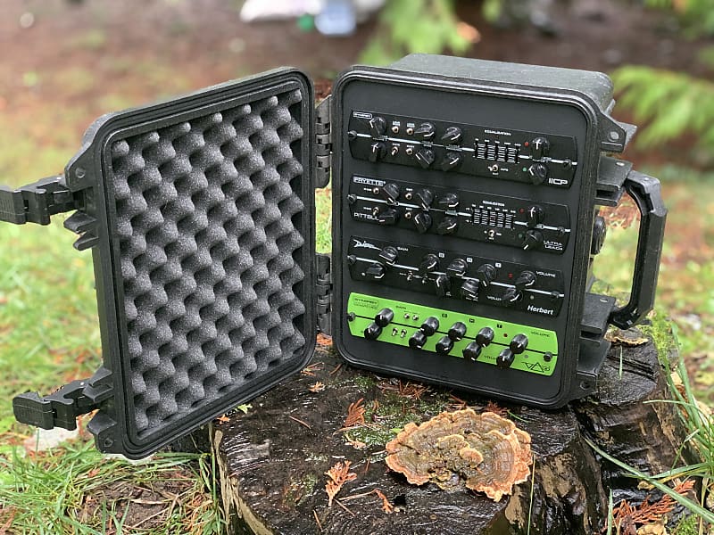 Burns Delta Model 4 Slot Case, Black, Synergy Randall Egnator | Reverb