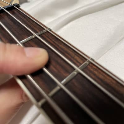 Custom Build Short Scale T-Bass (Birdsong designed) | Reverb