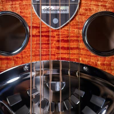 National Scheerhorn L-Body Figured Maple - Scheerhorn Deluxe | Reverb