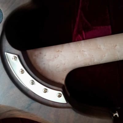 Washburn N4 Walnut Mourning Windows Inlays Proto Davies 2.0 | Reverb