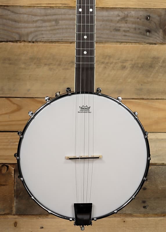 Washburn Americana B7 5 String Banjo Natural | Reverb