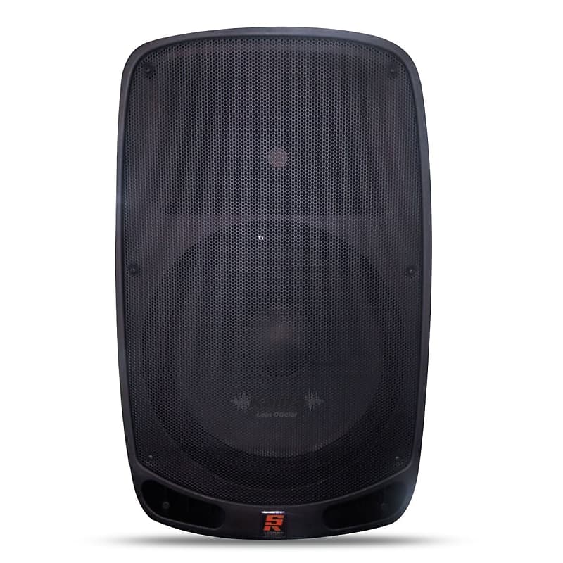 New Staner PS-1501 200 Watts; Powered Speaker &/ Monitor, | Reverb