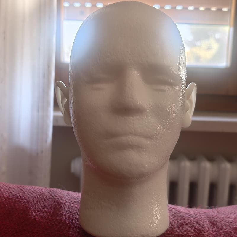 LAST PIECE: Microphone binaural head AKG D 99 C Harry Neumann | Reverb