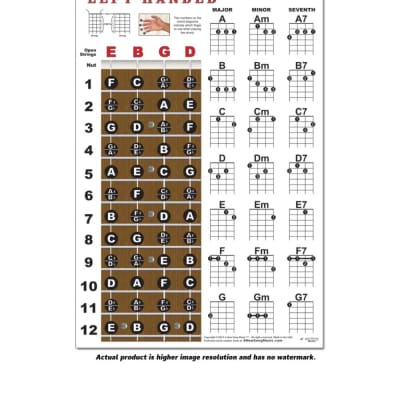 Laminated Left Handed Baritone Ukulele Chord & Notes Poster | Reverb