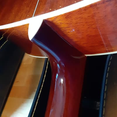 Ibanez Artwood AW-10 Dreadnought & Chipboard Case by Guitars | Reverb