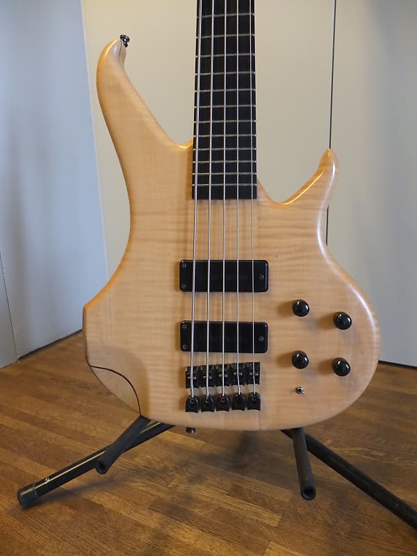 Human Base Max 5 String 1995-2000 - Riegelahorn | Reverb