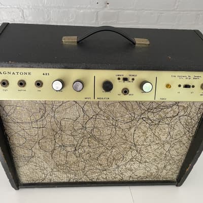 Vintage Guitar Amp Magnatone 421 | Reverb