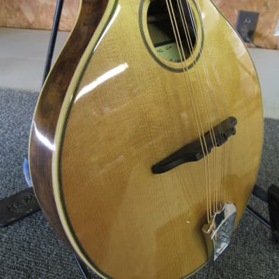 Beard Celtic Mandolin | Reverb