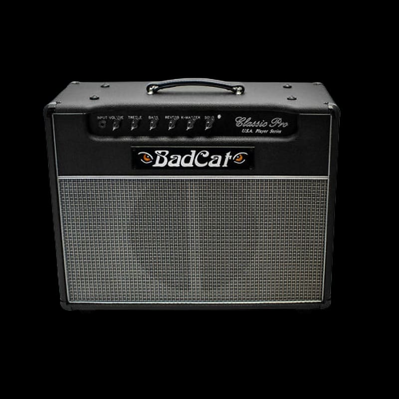 BAD CAT Amps USA Player Series Classic Pro 20R Combo Very | Reverb UK
