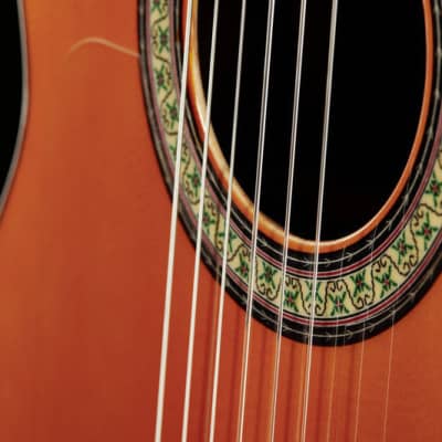 Raimundo Model 145 Palo Santo Flamenco Guitar | Reverb UK