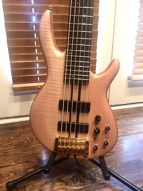 Cort A6 6-String Neck-through Bass with Case | Reverb