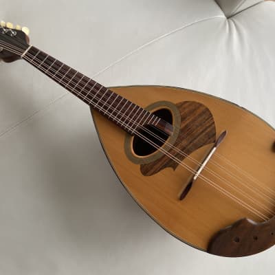 Ibanez Bowl Back Mandolin No. 600 - 70s/80s | Reverb