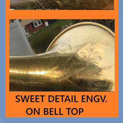 STENBERG PORTRAIT 1925 TROMBONE RARE GOLD PLATE BURNISHED / | Reverb