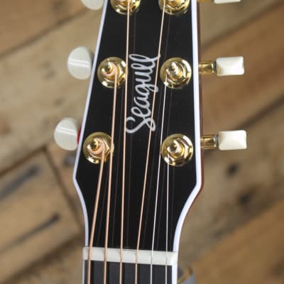 Seagull Artist Mosaic EQ Acoustic Electric Dreadnought Guitar | Reverb