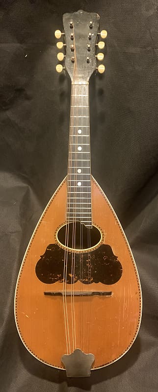 Washburn Bowlback Mandolin Style 215 - Brazilian RW - Made in | Reverb