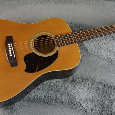 Daion Mugen Junior Yamaki Acoustic Rare Laminate! 1982 | Reverb