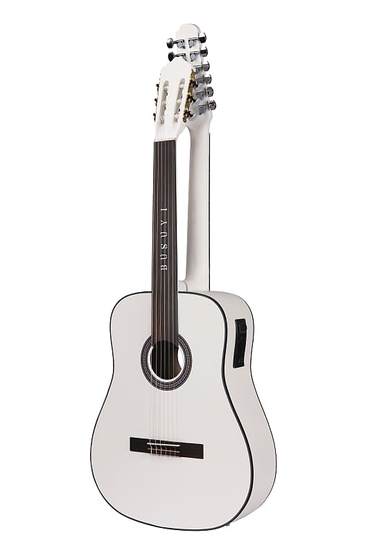 6 Strings Fretless Classical/ 12 String Acoustic Double | Reverb