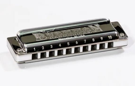 Bushman Harmonicas Delta Frost Steelie Harmonica in C with | Reverb