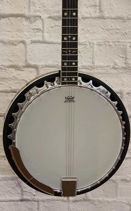 Oscar Schmidt OB5 5-String Banjo | Reverb