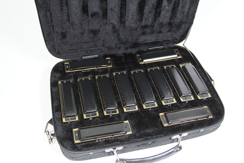 Set of 12 Hohner Pro Harp MS black - all moods - | Reverb