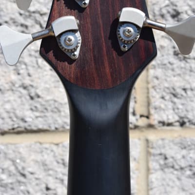 Scott Ambush Custom 5 String Bass | Reverb