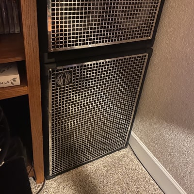 SWR (Goliath Jr) Professional Series Bass cab | Reverb