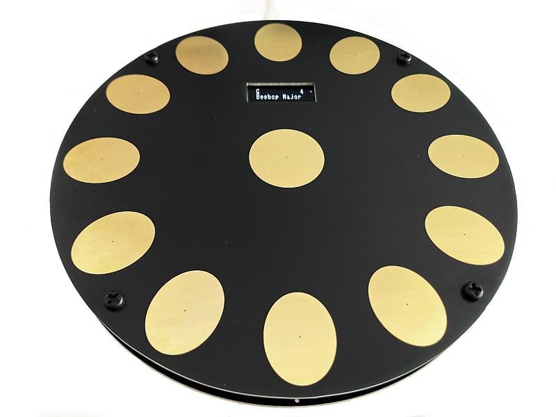 MIDIPan, MIDI+audio version. A touch-sensitive tongue-drum | Reverb UK