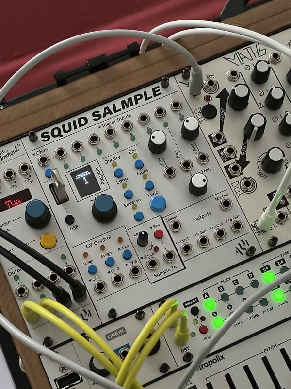 ALM/Busy Circuits Squid Salmple | Reverb