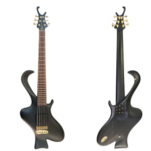 Ritter Jupiter 6 String Bass Frosted Black | Reverb