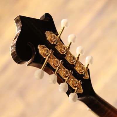 Lebeda F-5 Premium | Reverb